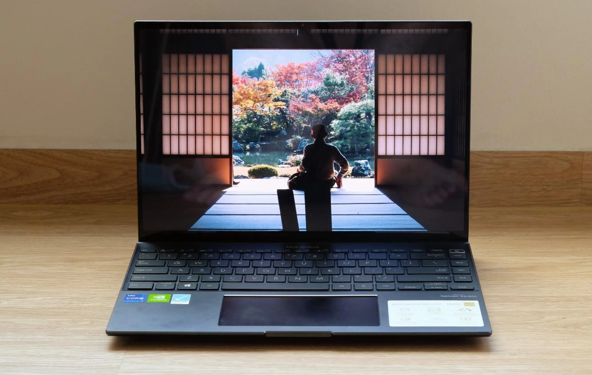 ASUS ZenBook 14X OLED review: The gorgeous display comes at a price ...