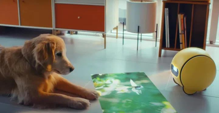 Samsung's Ballie robot now has a projector to play videos and entertain pets | HardwareZone ...