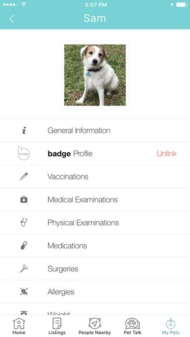 Pet Widget, a social networking app for pets, launches in Singapore ...