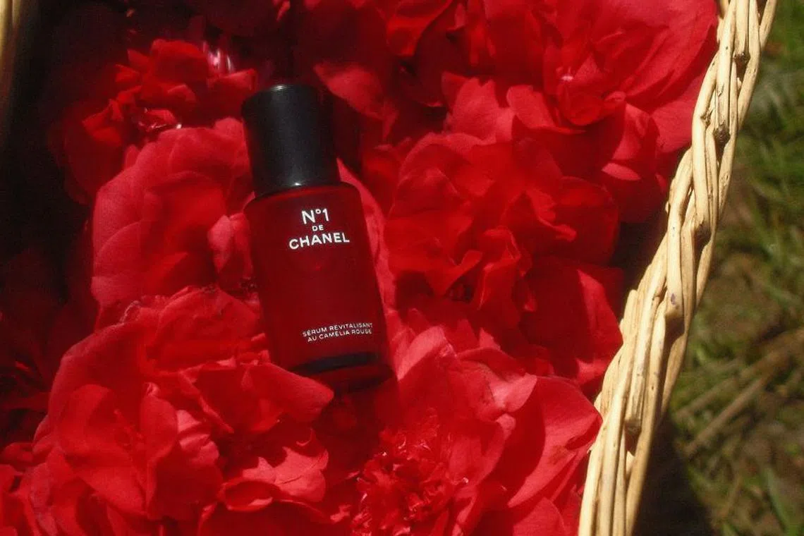 Coco Chanel’s Favourite Flower Is Actually A Skincare Powerhouse ...