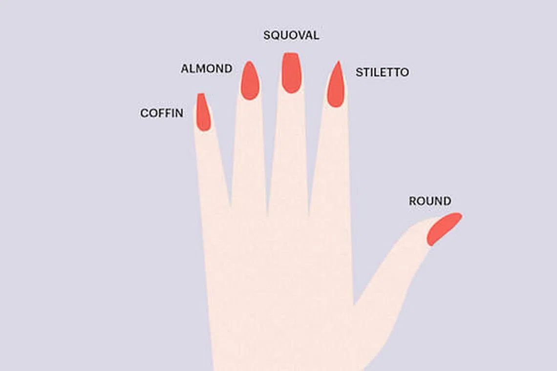 Beauty Guide: The Ultimate Nail Shapes Dictionary | Harper's Bazaar ...
