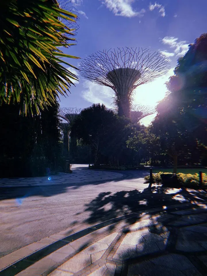 EIC Kenneth Goh: A List Of Things That Make Me Work Better | Harper's ...