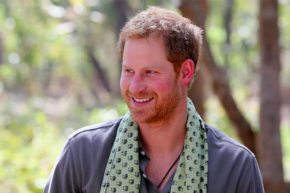 Prince Harry Practices His Tiger Impression In Nepal | Harper's Bazaar ...