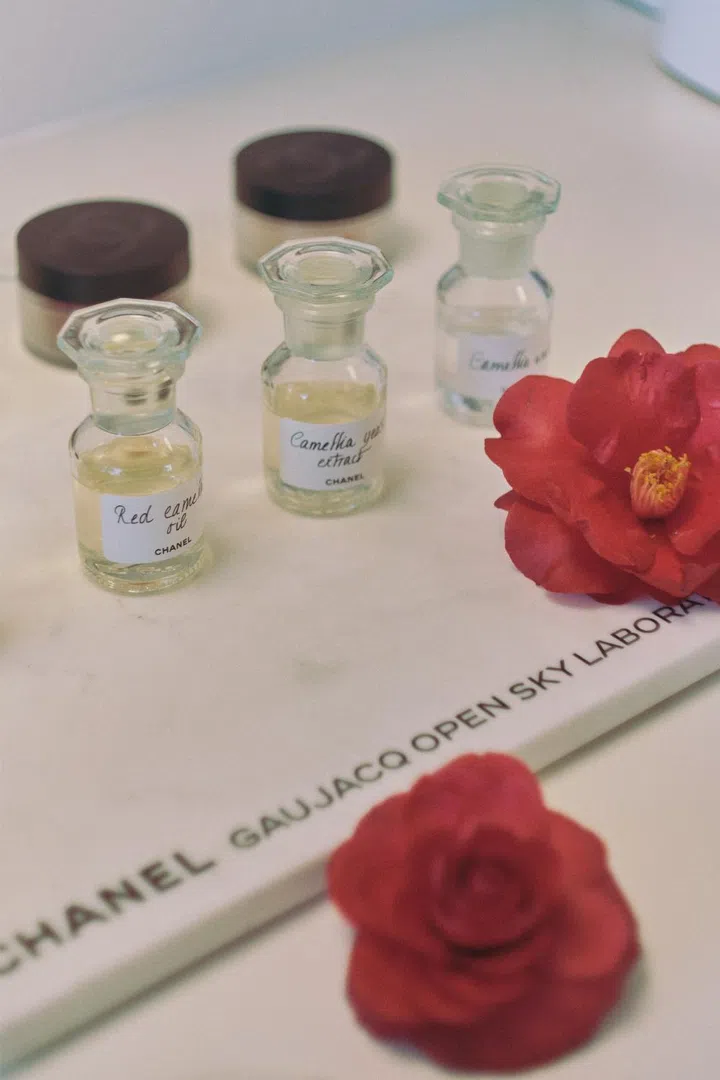 Coco Chanel’s Favourite Flower Is Actually A Skincare Powerhouse ...