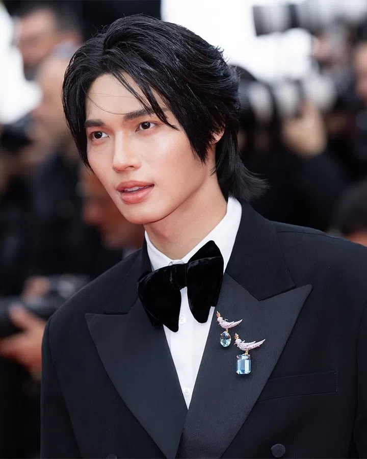 Cannes Film Festival 2026: The Best Red Carpet Jewellery | Harper's ...