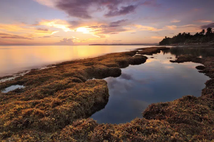 Heart Evangelista’s Guide To Sorsogon | Harper's Bazaar Singapore