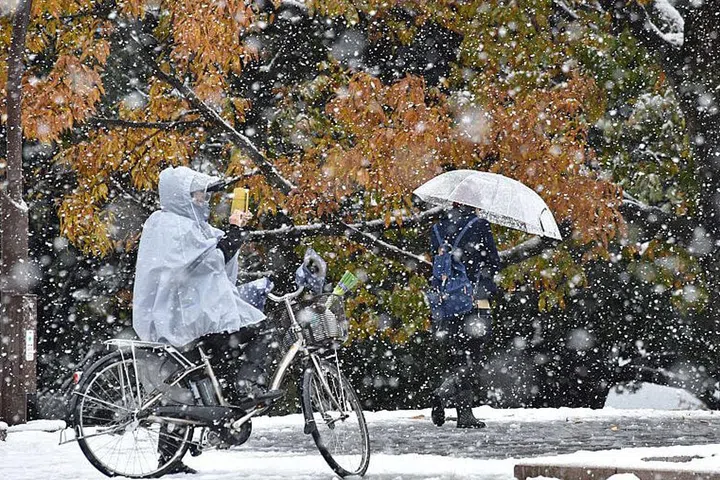 Unbelievable Photos Show Tokyo's First November Snow Fall In 54 Years ...