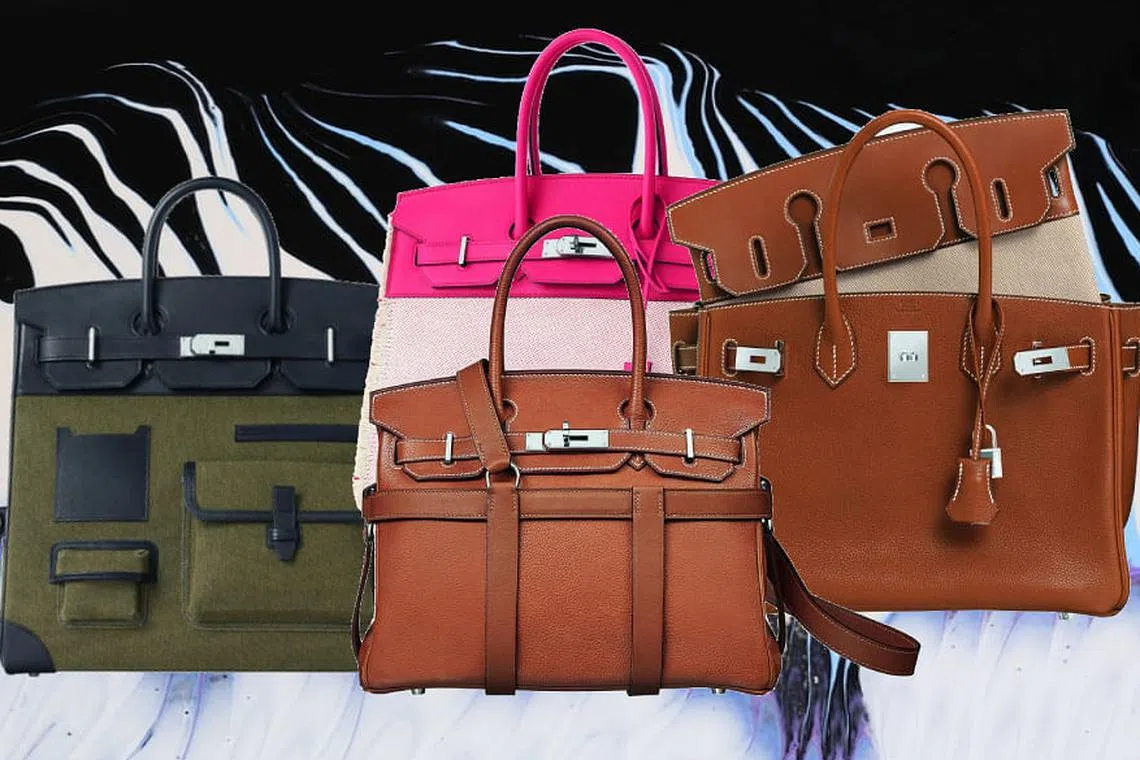 5 New Birkins & 1 Controversy: Everything You Need To Know | Harper's ...