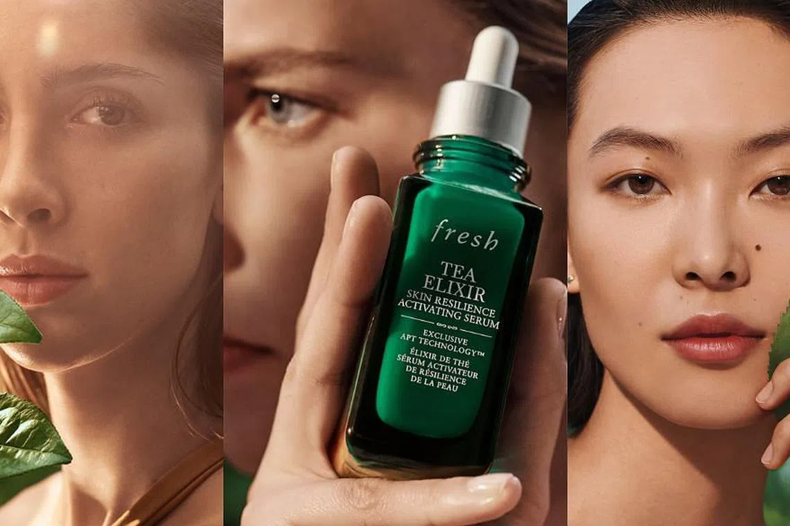 The New Fresh Tea Elixir Serum Helps Your Skin Get Ready For Anything ...