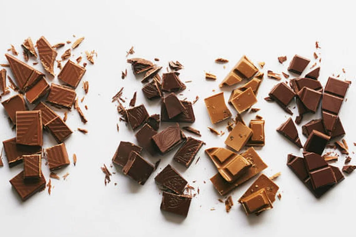 5 Reasons Why You Should Make Chocolate Your Midday Snack | Harper's ...
