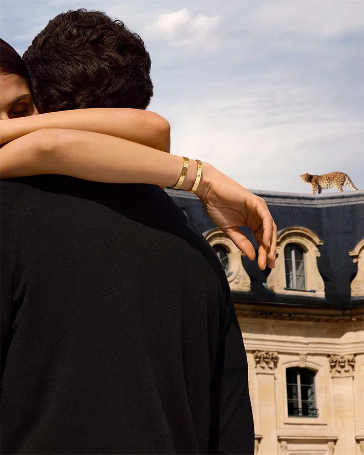 Your Complete Cartier LOVE Bracelet Guide—The New LOVE Unlimited And ...