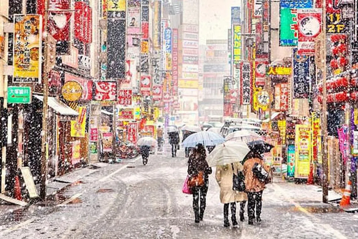 Unbelievable Photos Show Tokyo's First November Snow Fall In 54 Years ...