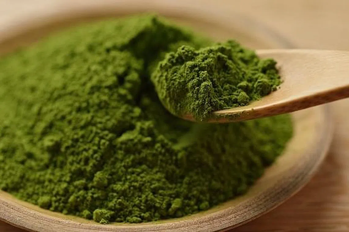 6 Japanese Skincare Ingredients You Need To Know About | Harper's ...