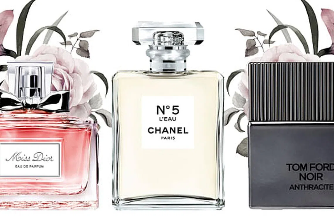BAZAAR Beauty Awards 2017: 6 Scents For Every Occasion | Harper's ...