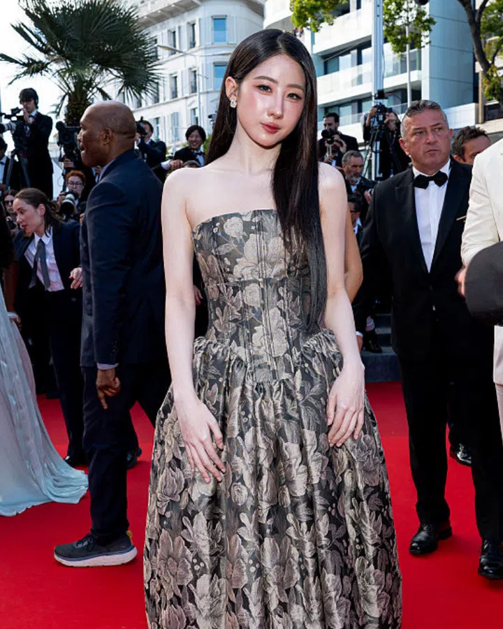 Cannes Film Festival 2026: All The Standout Red Carpet Looks | Harper's ...
