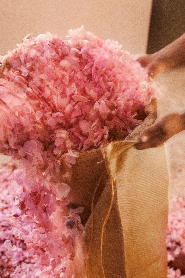 Anne-Lise Cremona On Carrying The Legacy for Henry Jacques Perfume ...