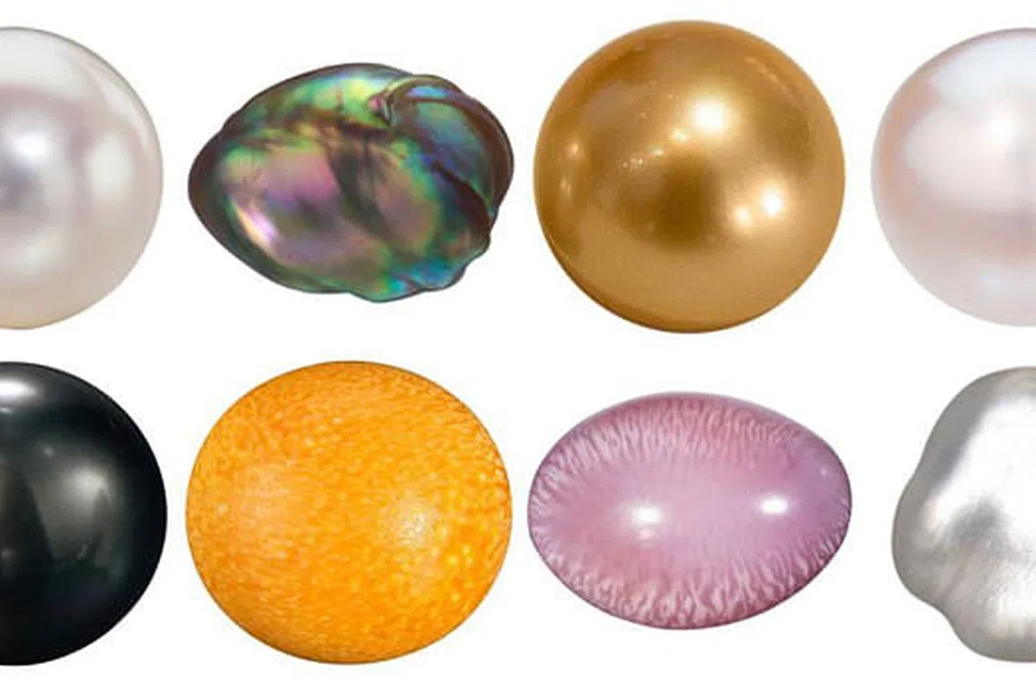 All The Different Types Of Pearls You Need To Know | Harper's Bazaar ...