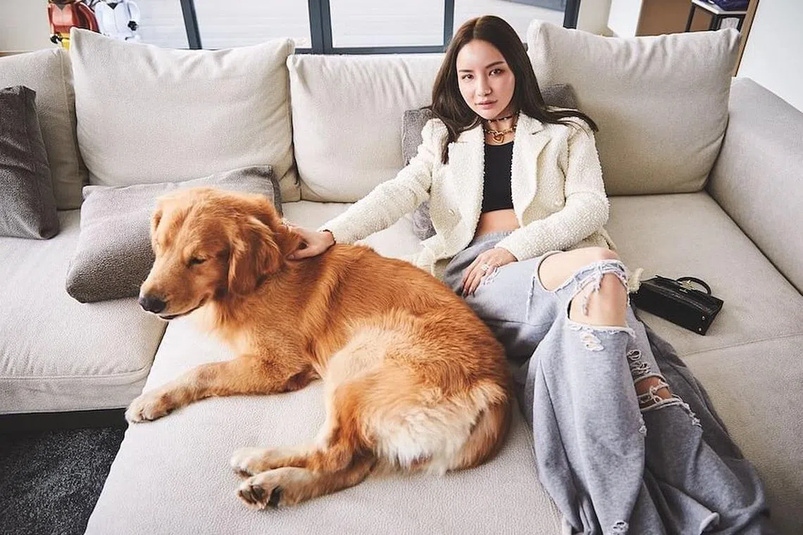 Billionaire Heiress Kim Lim And Fiance Give Meals And Air Tickets To ...