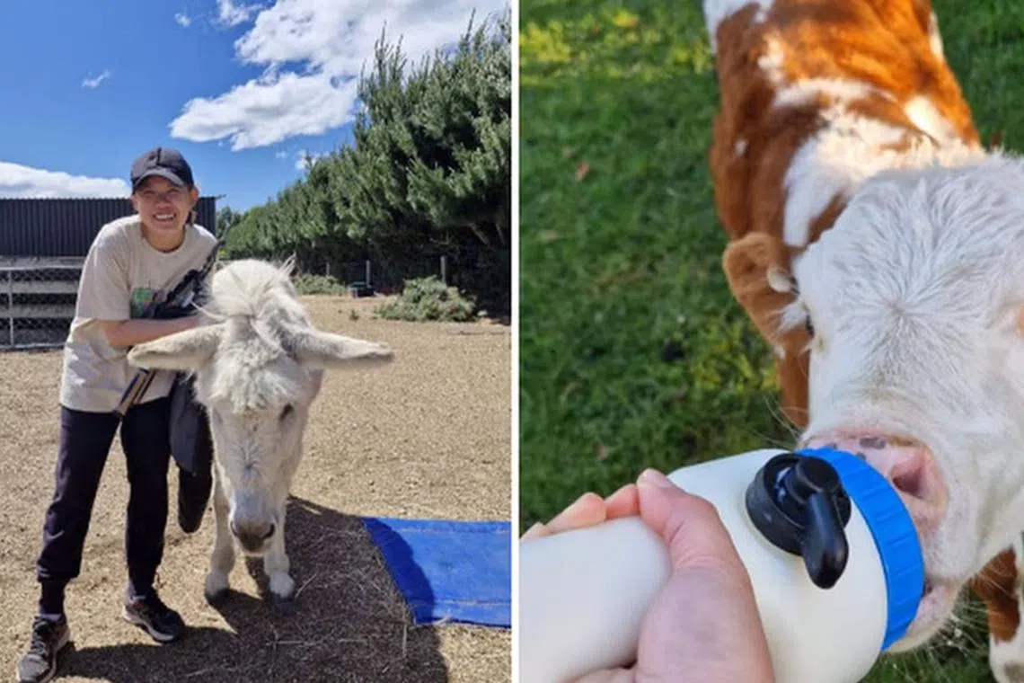 What is micro-retirement? Why millennials and Gen Zs are taking career ...