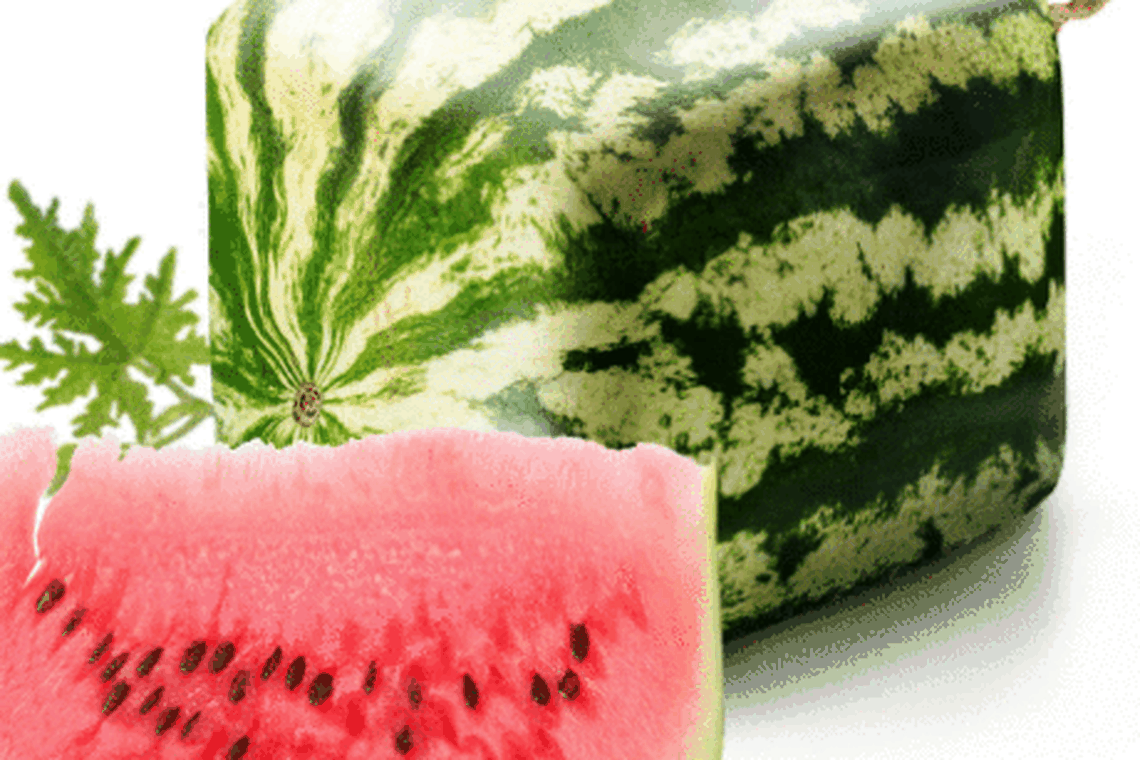 The most ridiculously expensive fruits in the world - Her World ...