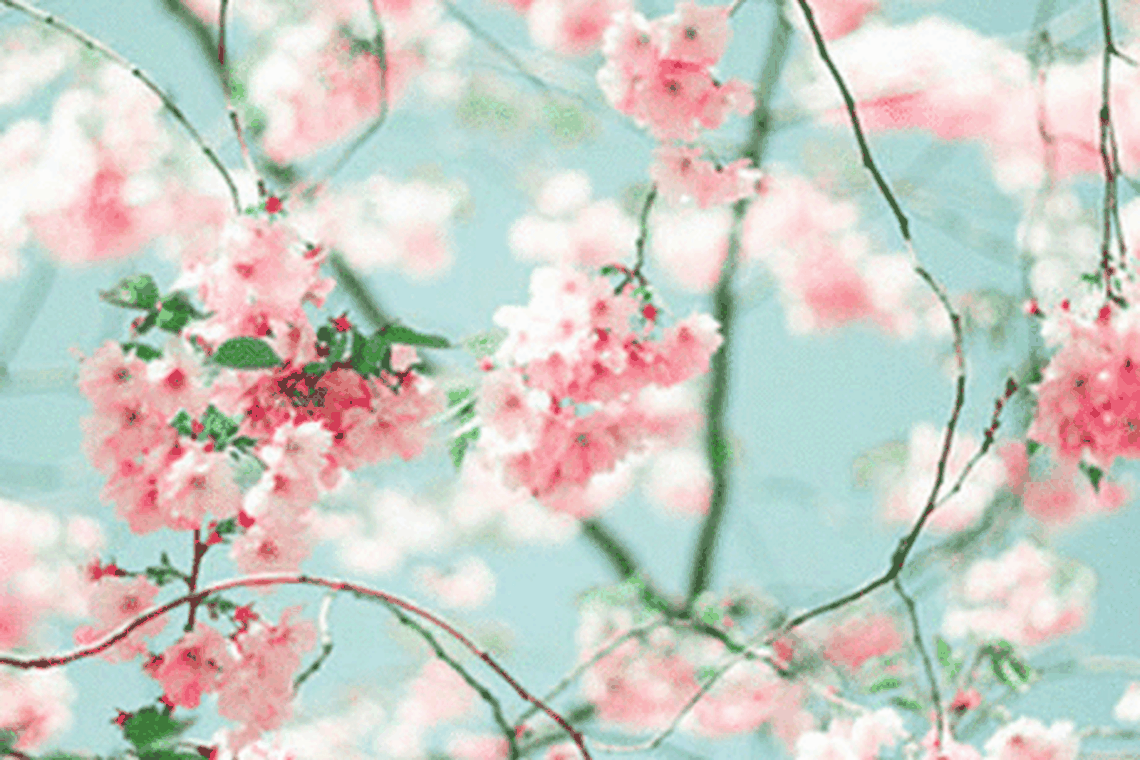 5 stunning Sakura inspired outfits for every style - Her World ...
