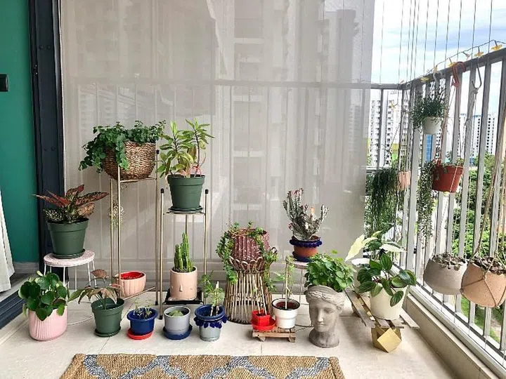 Style influencers show us their fave indoor plants - Her World ...