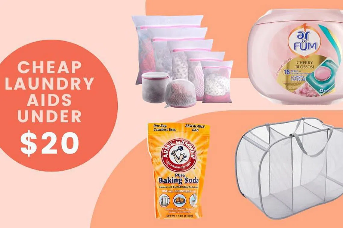 8 Laundry Aids Under $20 You'll Wish You Discovered Sooner | Her World ...