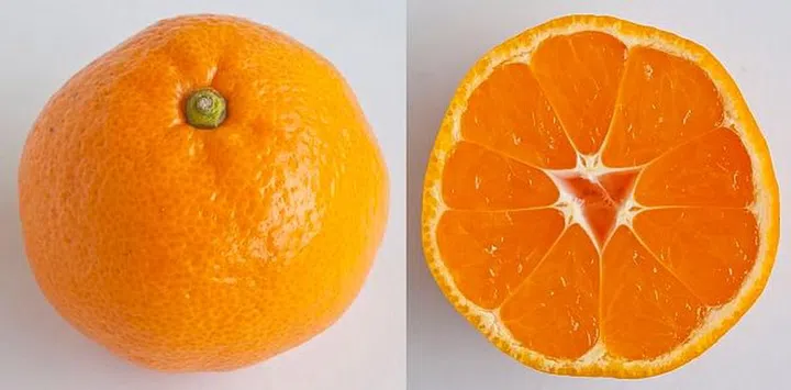 Your guide to choosing the sweetest and juiciest mandarin oranges for ...