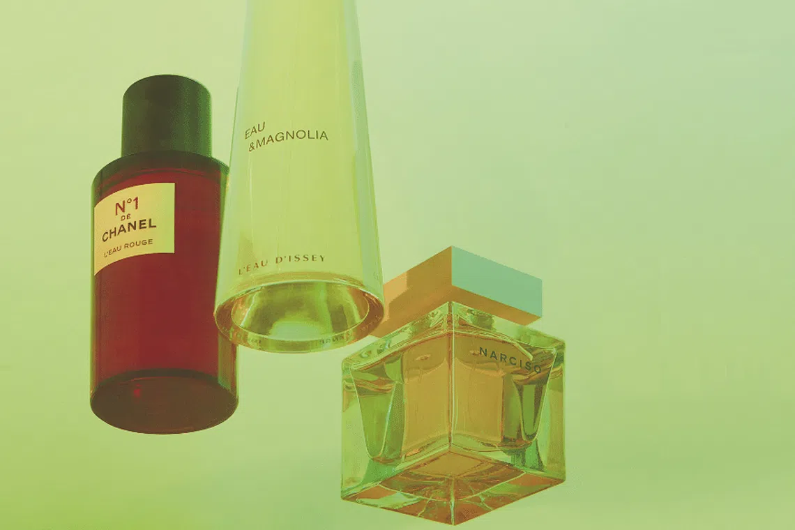Sustainable Scents: The eco-friendly perfumes that are the scents of ...