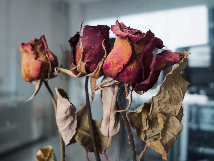 5 ways to dry or preserve your flower bouquet - Her World Singapore ...