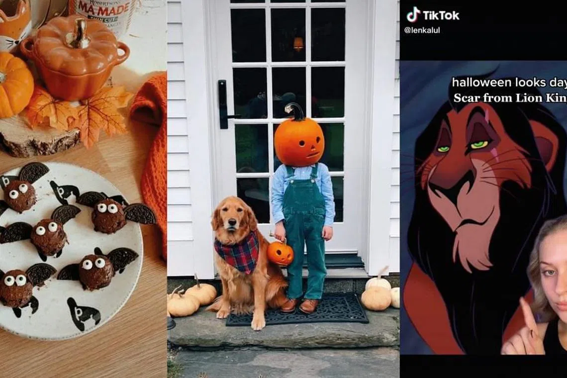 Virtual Halloween activity ideas from TikTok - Her World Singapore ...