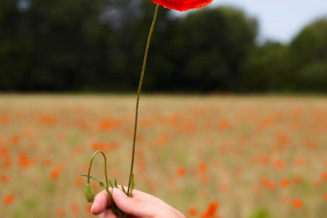 Overcome tall poppy syndrome at work | Her World Singapore