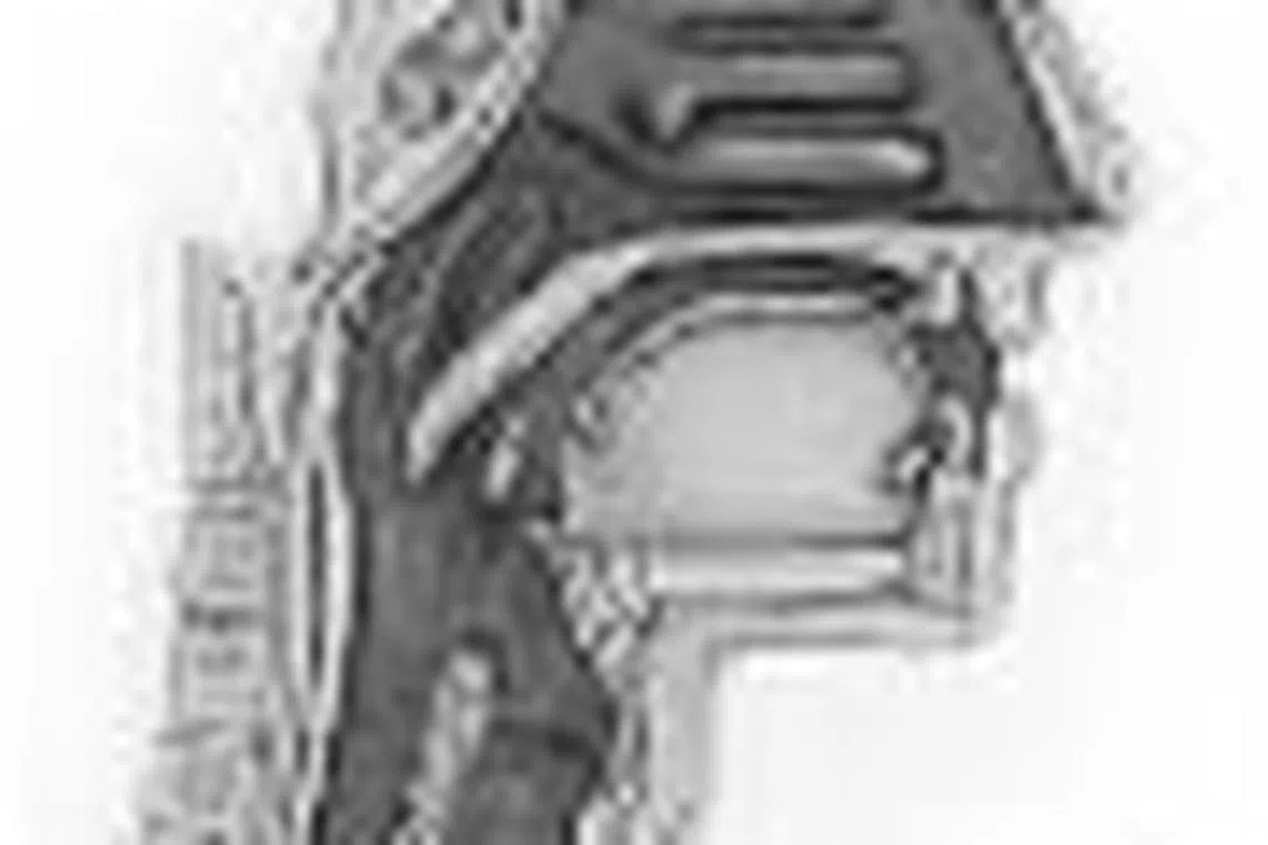 Evolution of snoring and sleep apnea - Her World Singapore | Her World ...