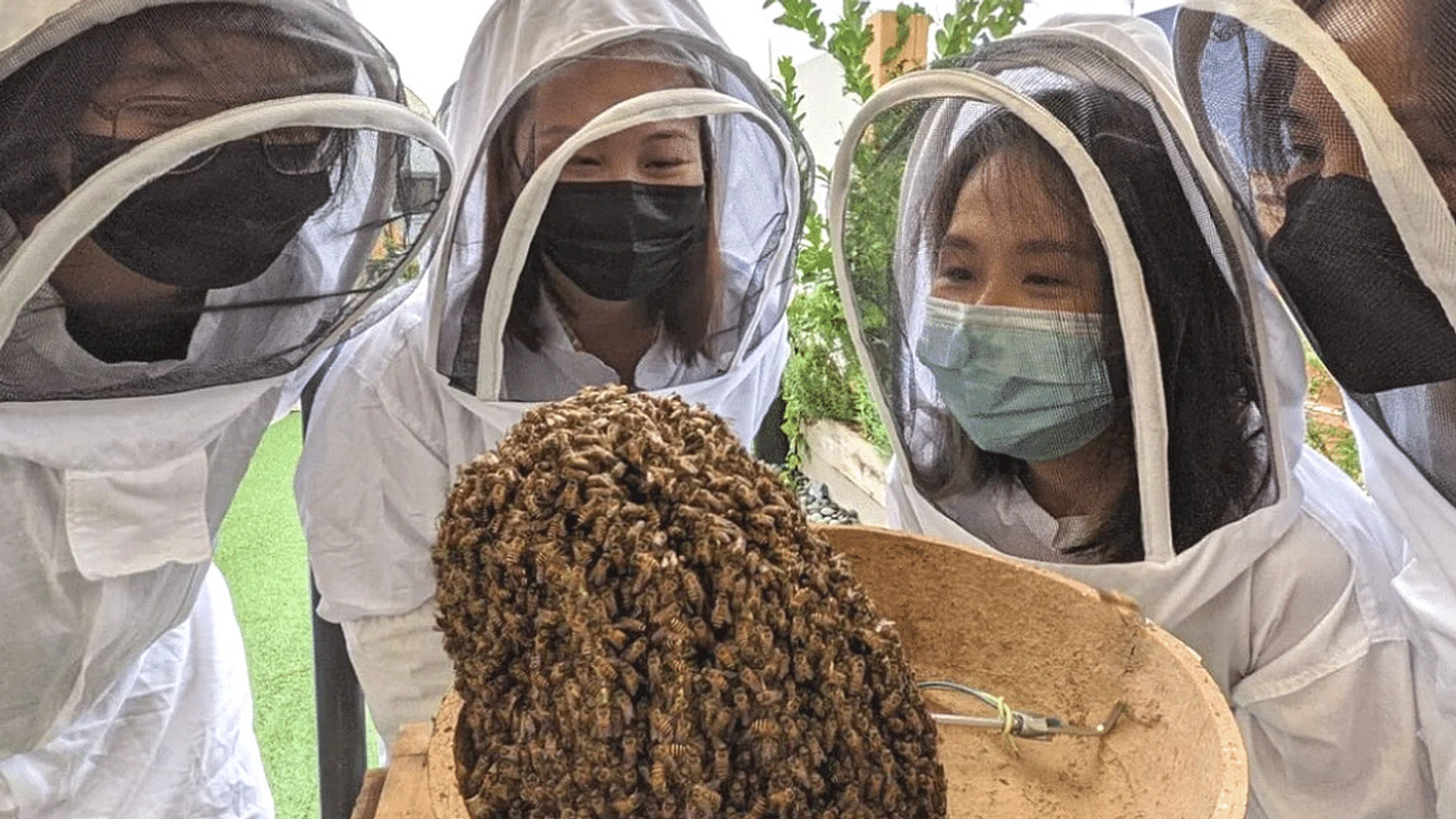 Get up close to a beehive at these bee farms in Singapore - Her World ...
