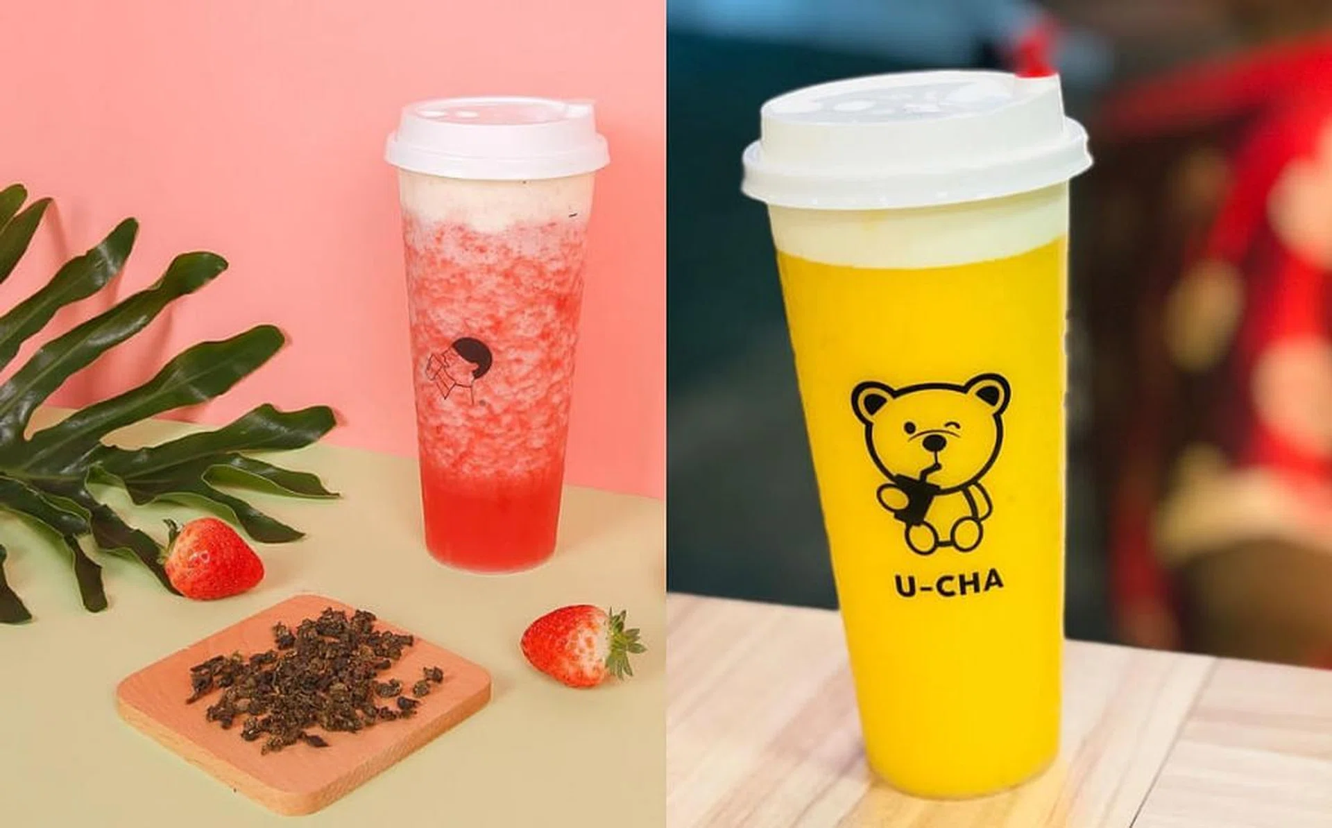 From cheese teas to matcha, here are some of the best bubble tea shops ...