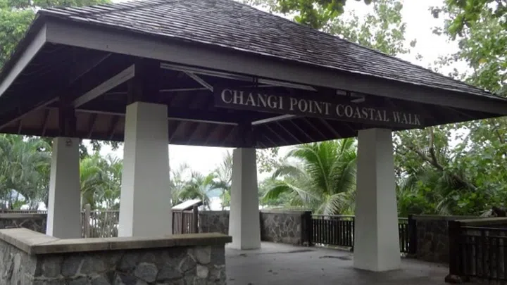 8 reasons why Changi Village is worth your travel to the far end of ...