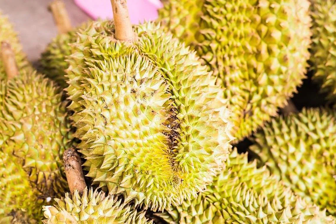 9 common durian types in Singapore to know about - Her World Singapore ...