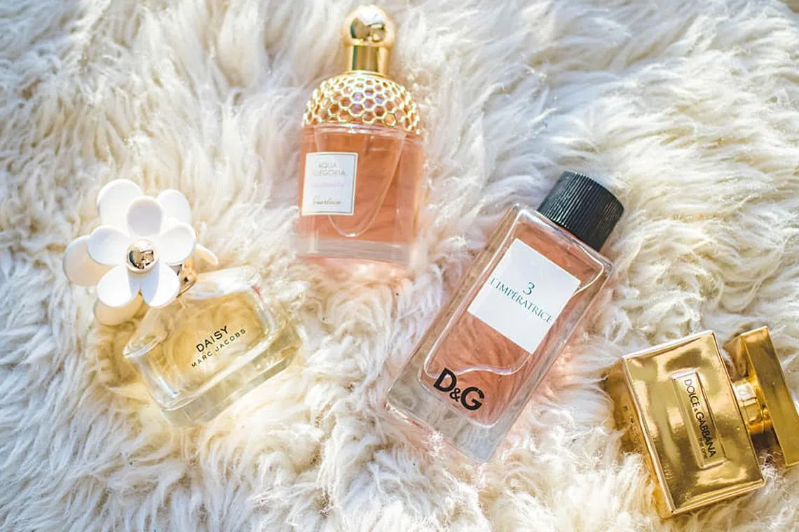 Perfume 101: Everything you need to know about fragrances | [site:name ...