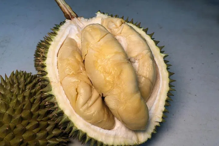 A beginner's guide to different types of durian - Her World Singapore ...