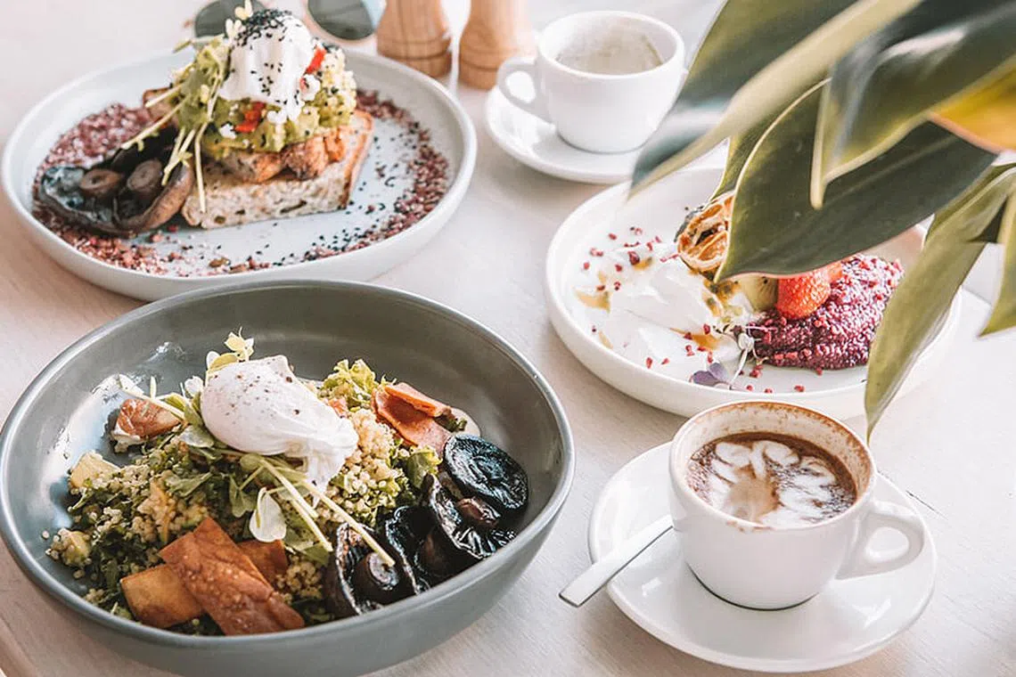 10 hidden cafes in the South of Singapore that'll make you wish you ...