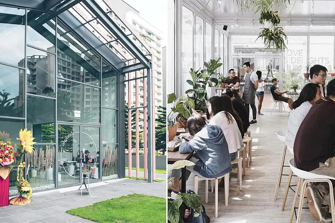 Spend Your Afternoons At These Glasshouse Cafes | Her World Singapore