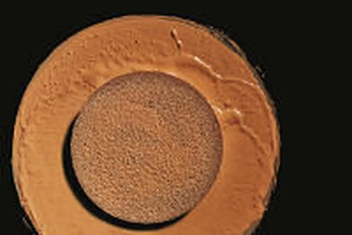 3 things to know when using a BB spray - Her World Singapore | Her ...