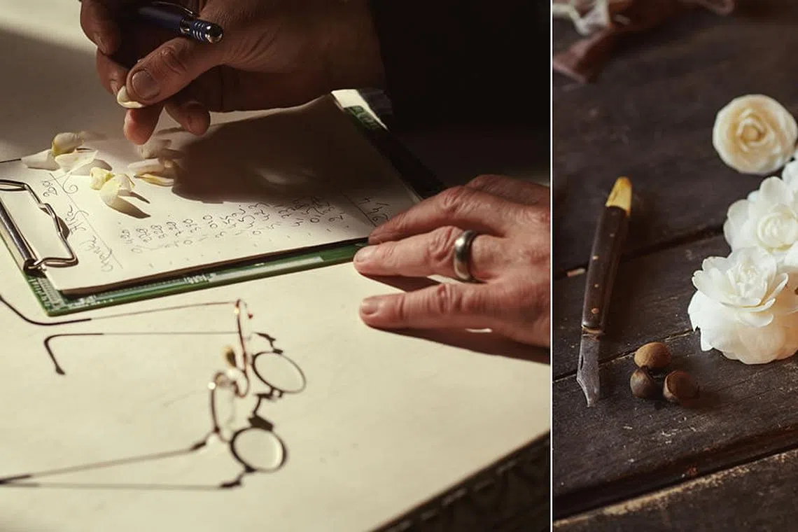 Here's how Chanel is going green and sustainable - Her World Singapore ...