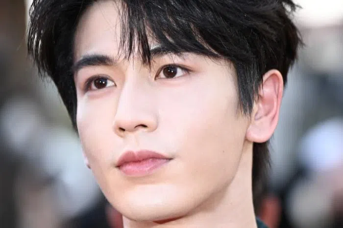 Zhang Linghe’s Doctor He Suye in The Best Thing is prescribing TCM ...