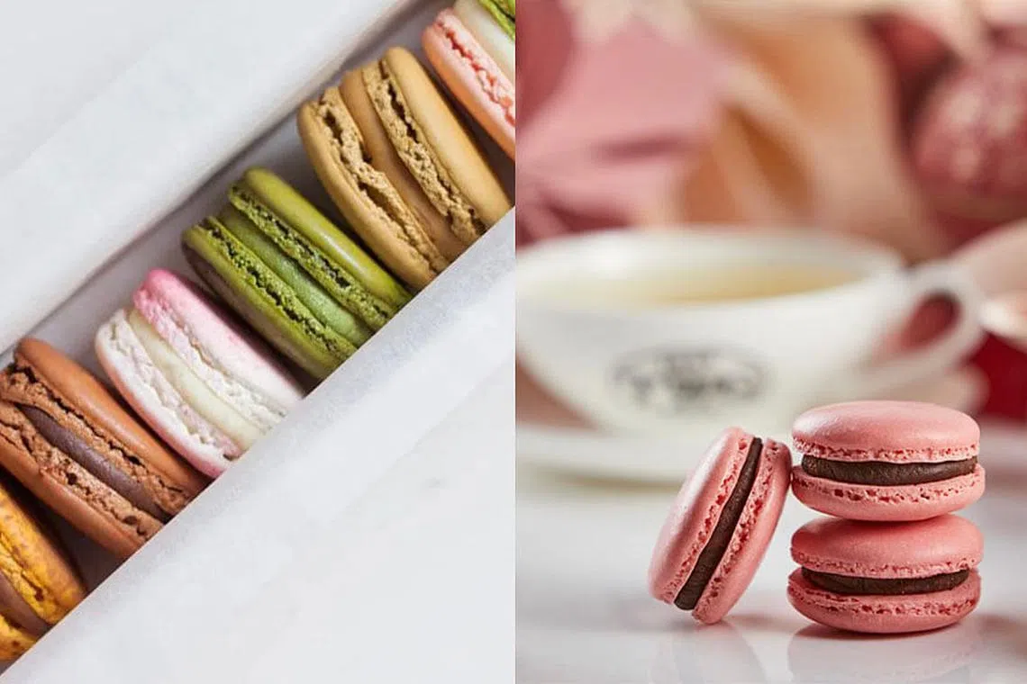 Where to find delicious and unique macarons in Singapore | Her World ...