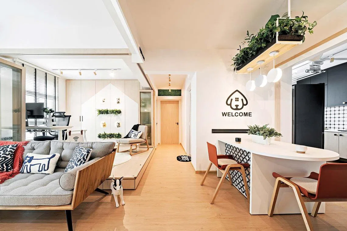 House Tour: Siblings wanted their HDB to look like a dog cafe | Home ...