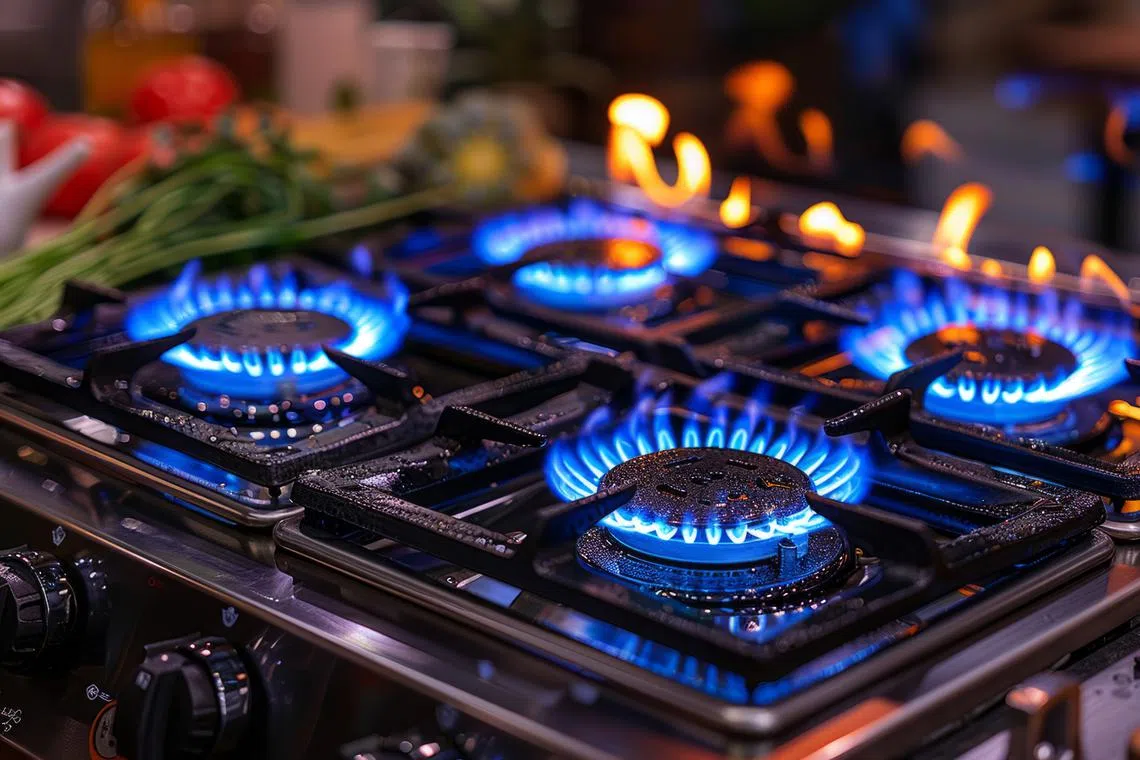 12 Best Gas Stove in Singapore | Home & Decor Singapore