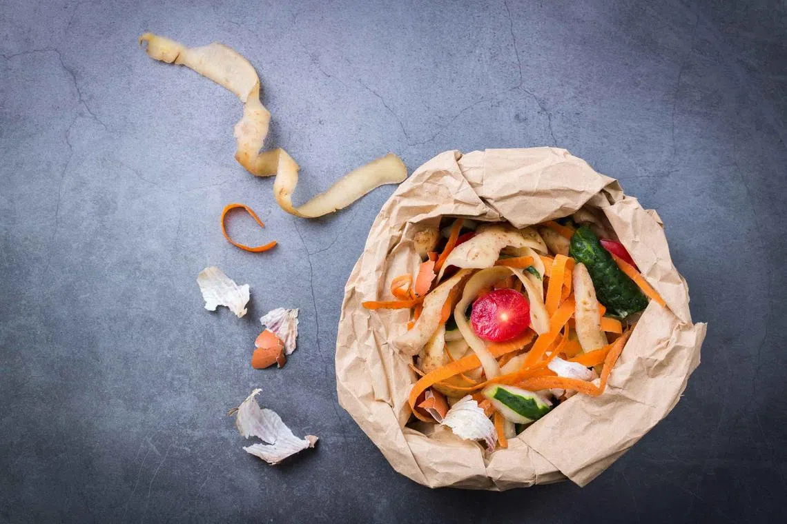 Leftover Food Scraps: 11 Food waste recycling DIY ideas at home! | Home ...