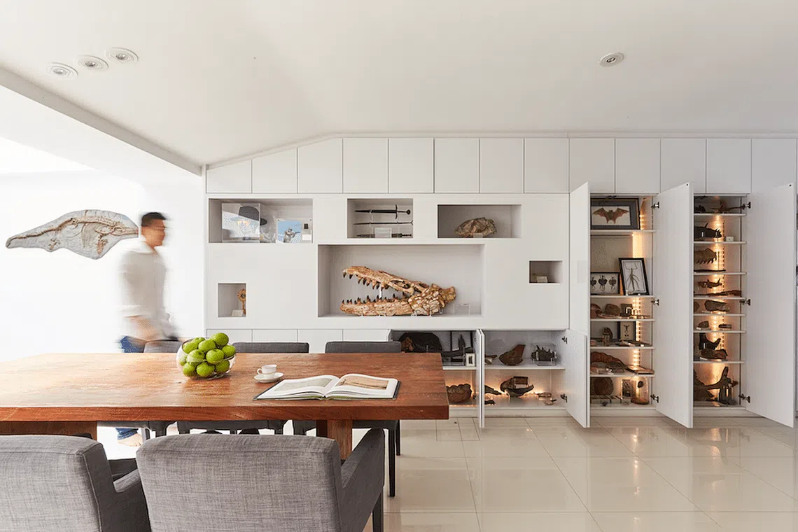 House Tour: The museum-like home of a fossil collector - Home & Decor ...