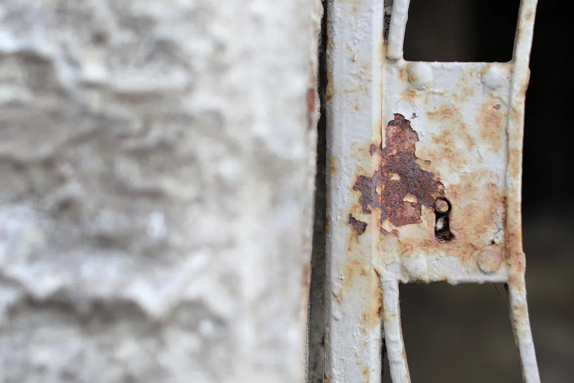 4 Ways to Remove Rust Naturally at Home | Home & Decor Singapore